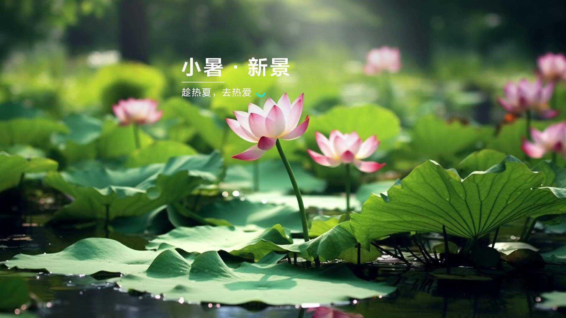 Culture-Jinzhou Medical University